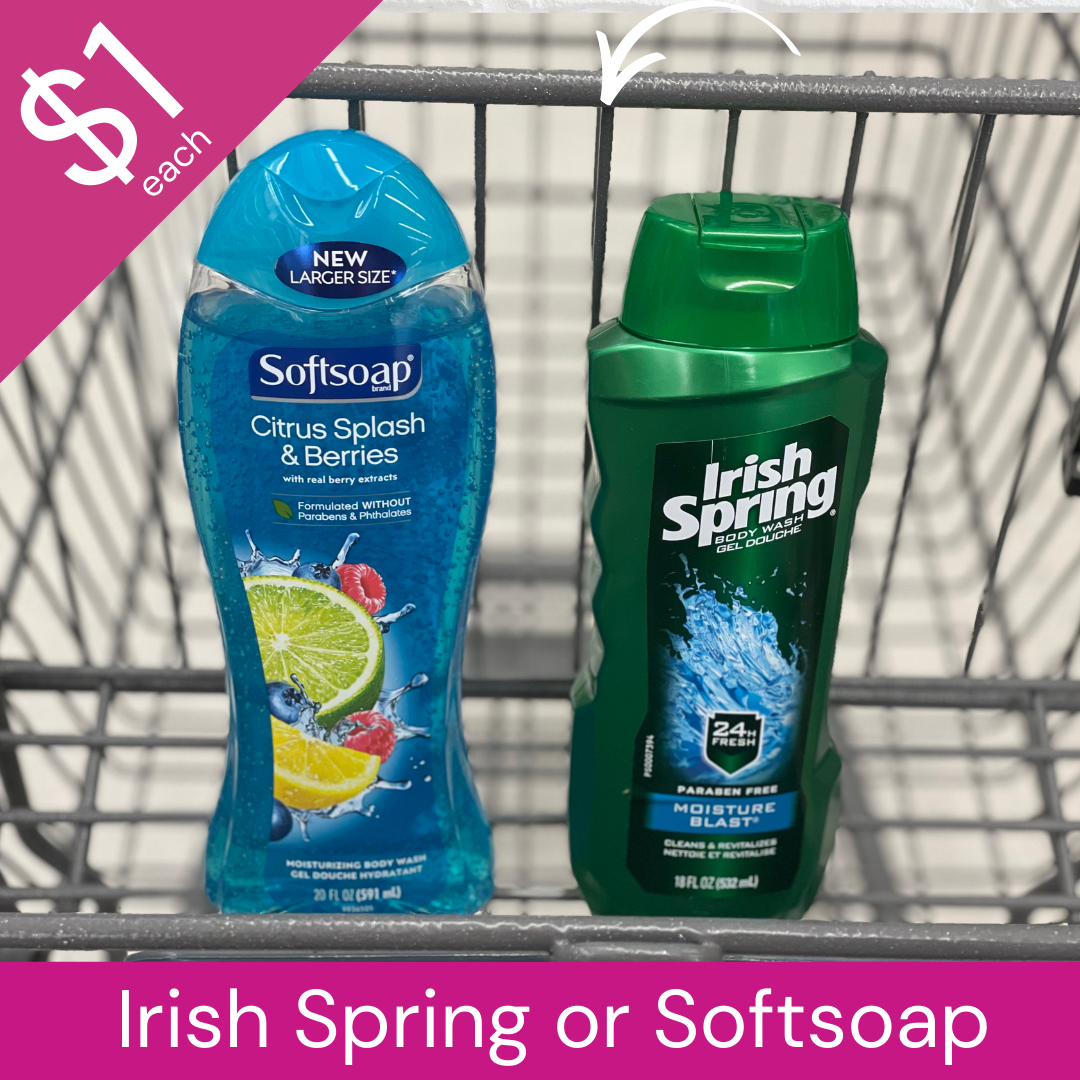 Irish Spring Body Wash Only $1.00! - One Cute Couponer