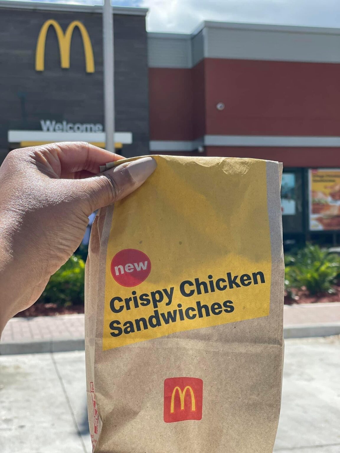 Score a FREE McChicken or Hot ‘n Spicy Sandwich from McDonald’s - One ...
